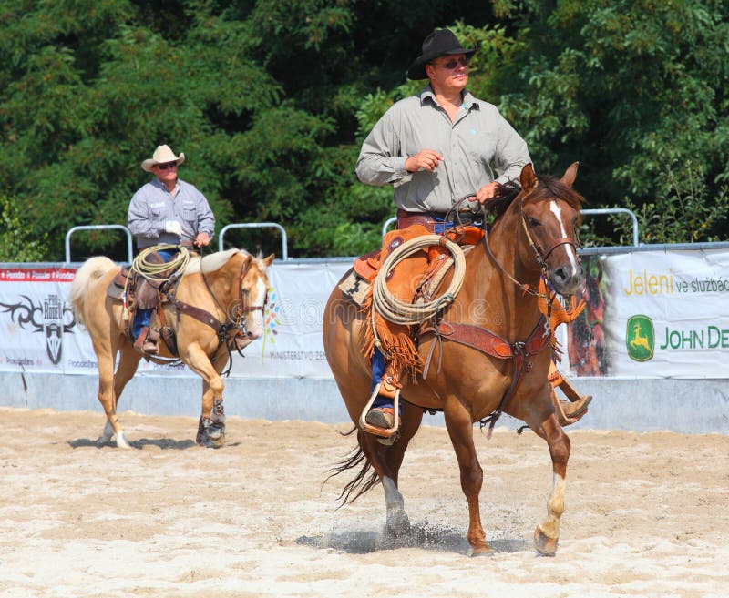 Rodeo y vaqueros foto de archivo editorial. Imagen de polvoriento ...