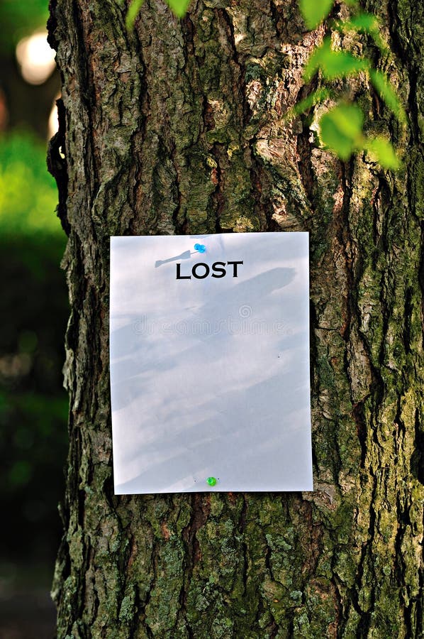 Lost sign stock photo. Image of text, copy, business, tree - 5137786