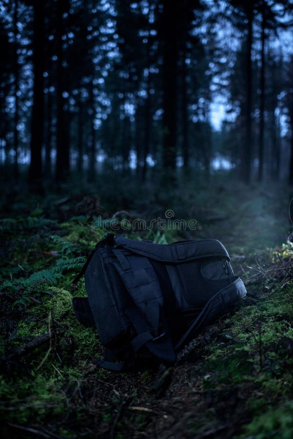 Lost Backpack Lying on Forest Ground. Stock Photo - Image of dark ...