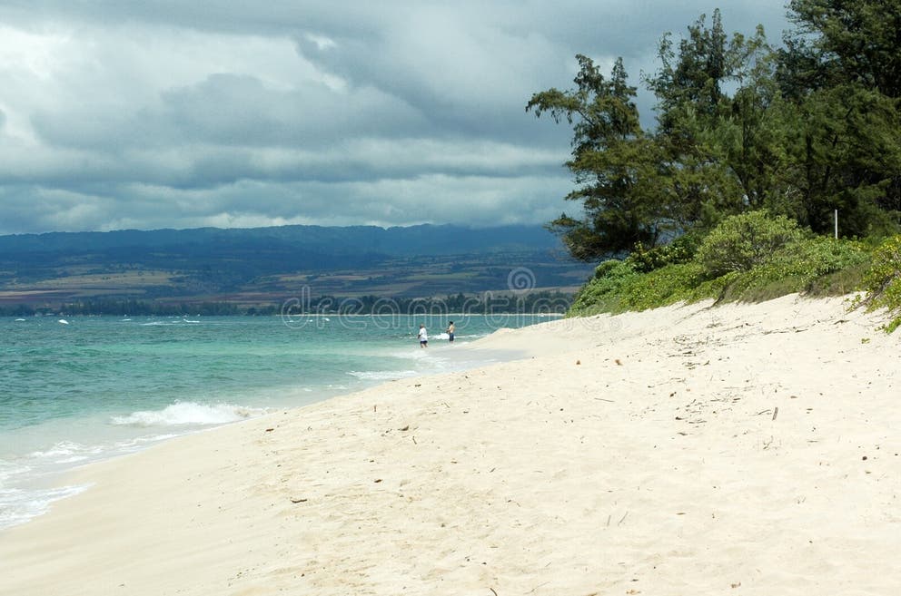 Lost Beach stock image. Image of north, power, surfing - 1166849