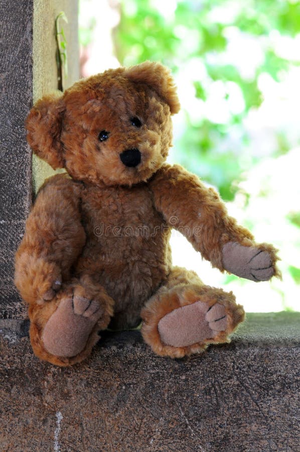 Lost bear stock photo. Image of street, cuddly, lost - 11072662