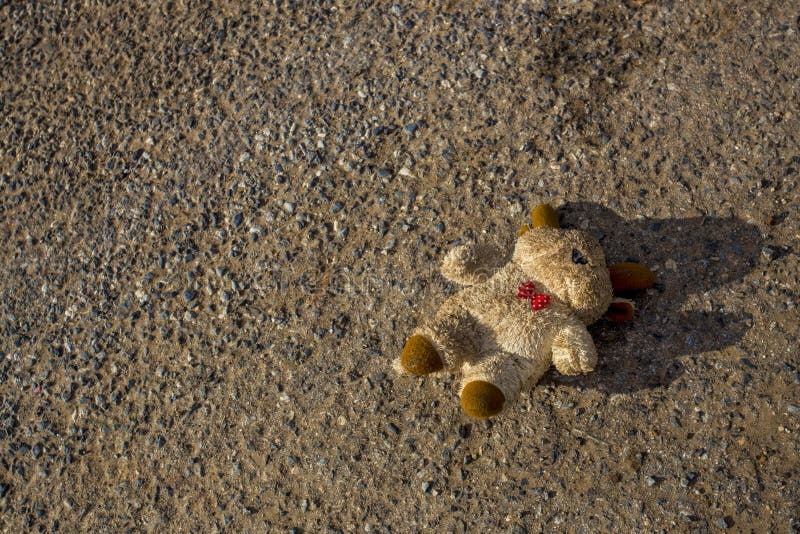 A Lost Bear Doll Fall Down and Lost on the Street. the Bear is Dirty ...