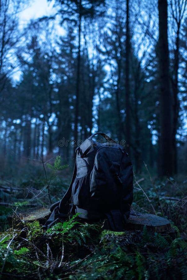 Lost Black Backpack on Tree Stump in Forest. Stock Image - Image of ...