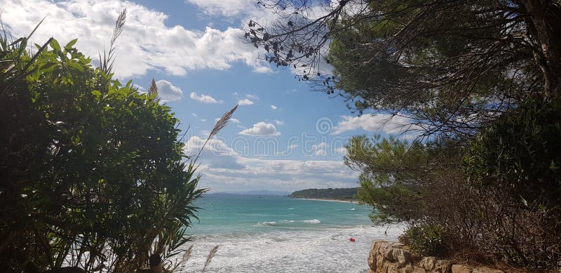 Lost in blue stock photo. Image of blue, vacation, flower - 209626748