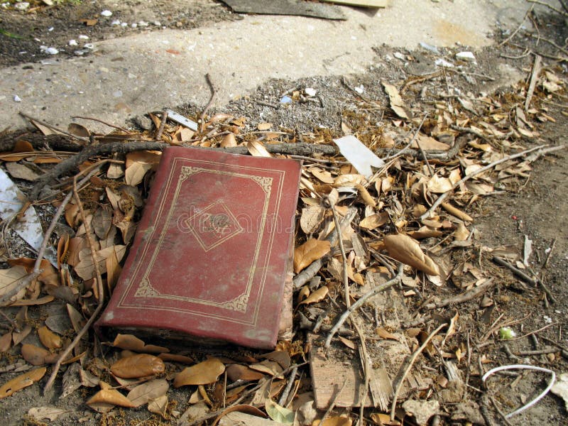 Lost Book stock photo. Image of book, displaced, forgotten - 1103716