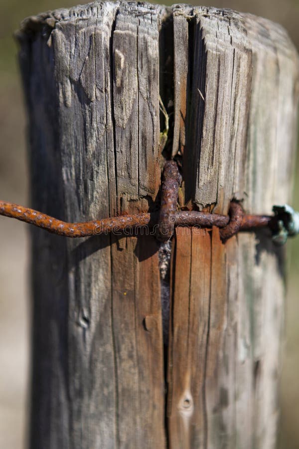 Lost building in Madeira stock photo. Image of decay - 228500526