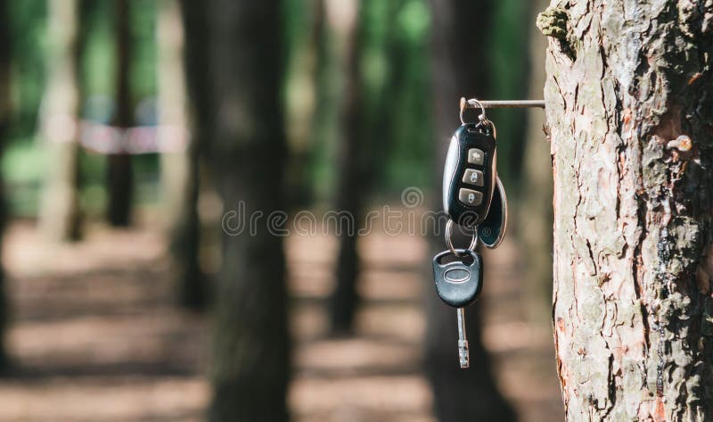 Lost Car Keys Hanging on a Tree Stock Image - Image of signs, blue ...