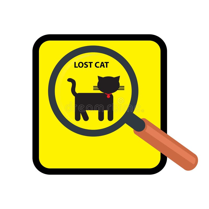 Magnifying Glass on a Yellow Square with the Silhouette of a Cat and the Text Lost Cat Stock ...