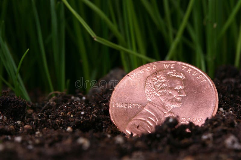 Lost coin stock image. Image of green, loss, grass, copper - 14630783