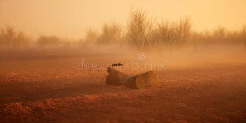 Lost Cowboy Boot in Desolate Desert Landscape. Stock Image - Image of ...