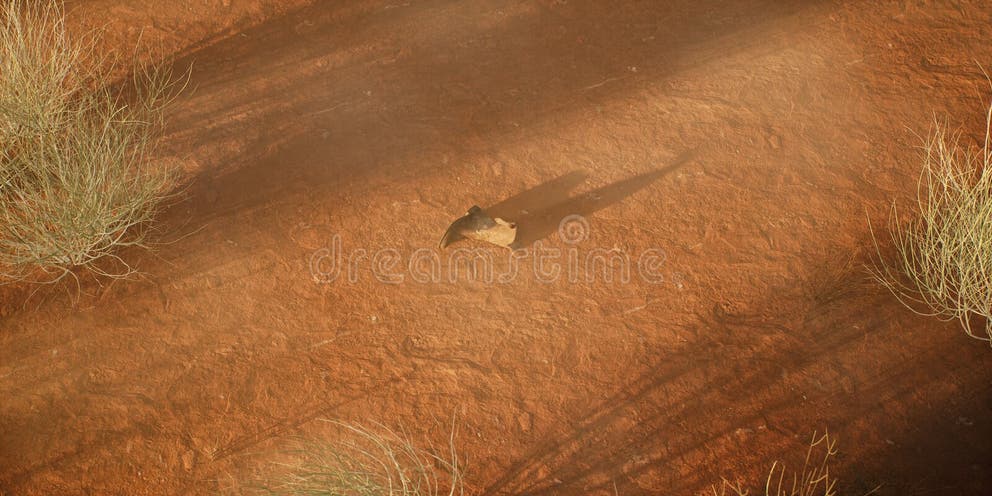 Lost Cowboy Boot in Desolate Desert Landscape. Stock Image - Image of ...