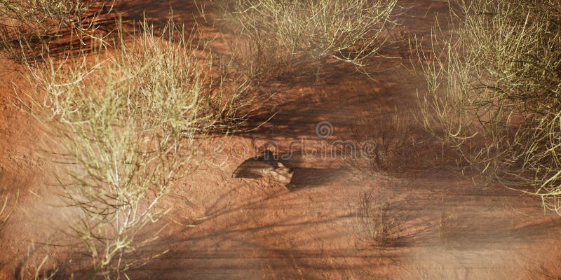 Lost Cowboy Boot in Desolate Desert Landscape. Stock Image - Image of ...