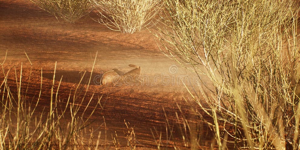Lost Cowboy Boot in Desolate Desert Landscape. Stock Photo - Image of ...