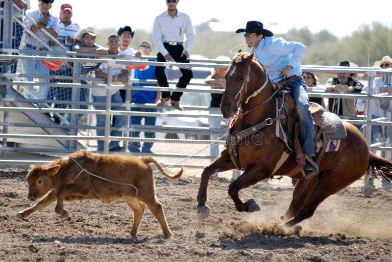 Lost Dutchman Days Rodeo editorial photo. Image of western - 8485176