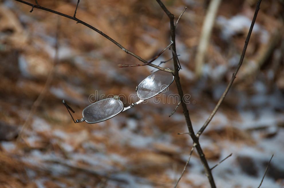 Lost Eye Glasses. stock photo. Image of bush, pads, folding - 18791148