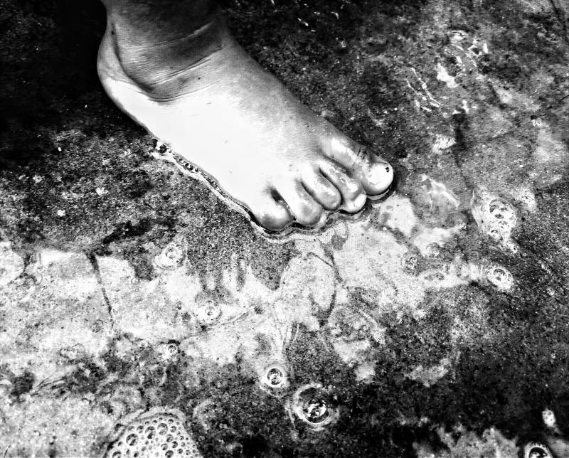 The Lost Foot stock image. Image of lost, blackandwhite - 81821789