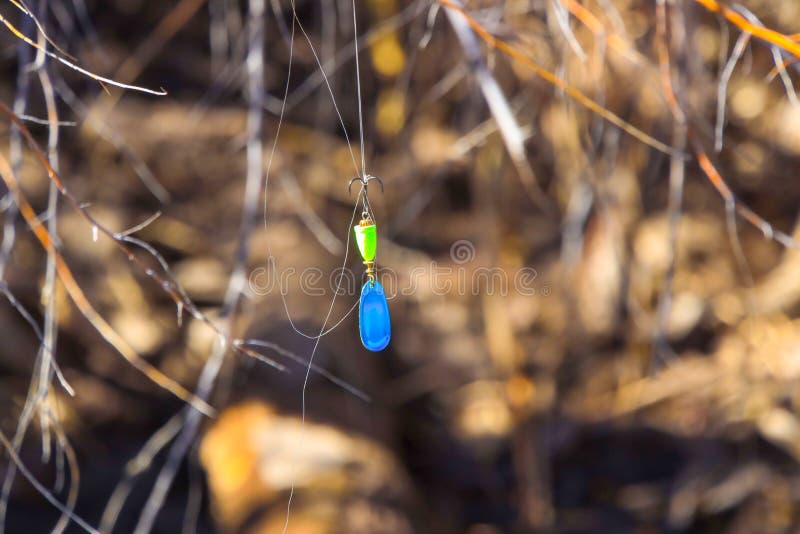 Lost lure stock image. Image of serene, spinning, snagged - 186894933