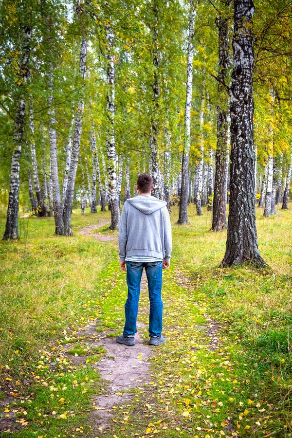 Lost Man in the Forest stock image. Image of outdoor - 230660085