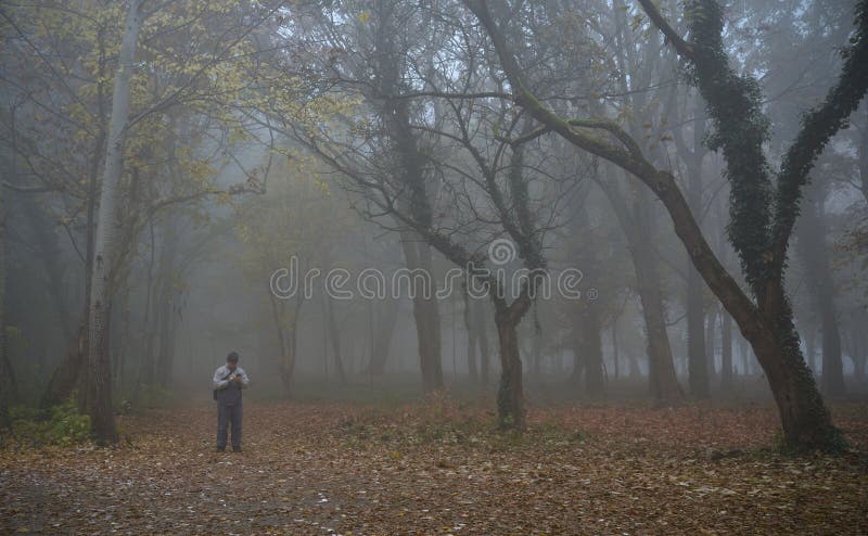 Lost Man in the Misty Forest Stock Photo - Image of gray, fall: 62385564