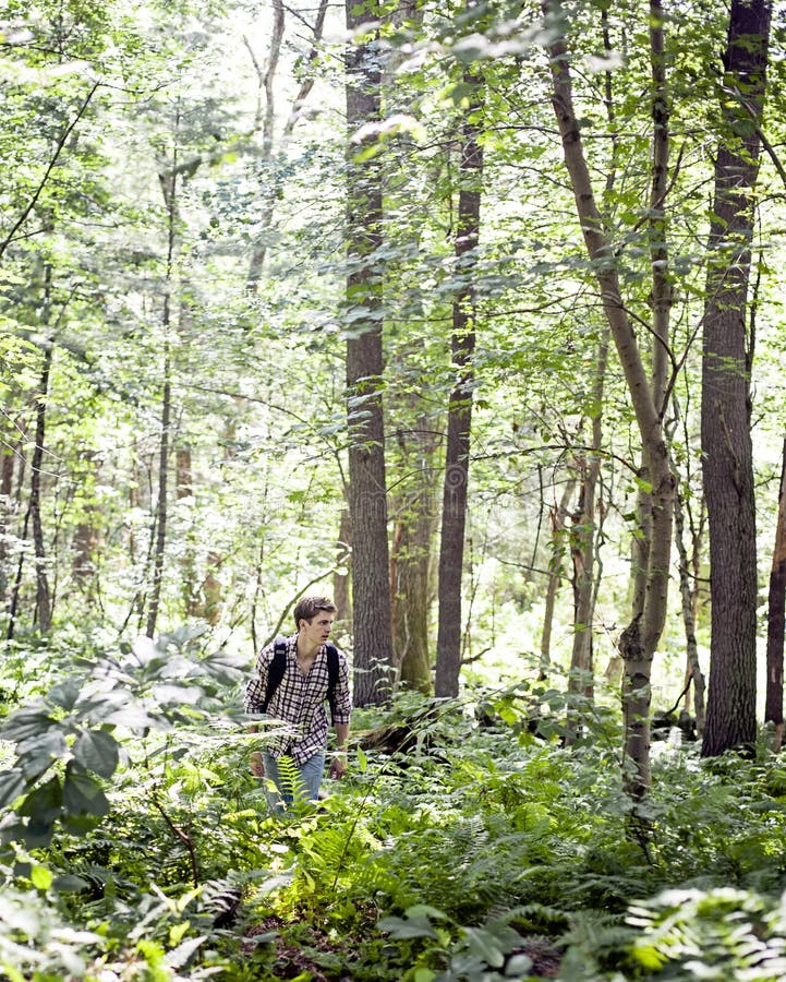 Lost man stock image. Image of lost, concept, junction - 57884921