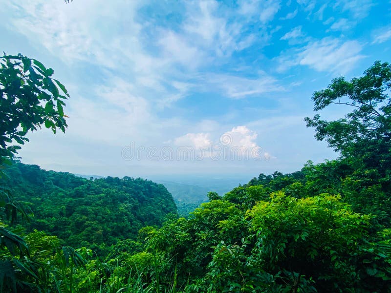 Lost into nature stock photo. Image of nature, lost - 233080720