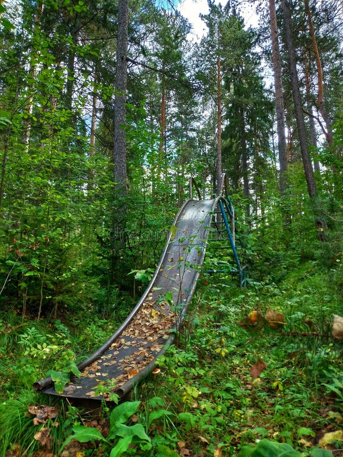 Lost park in Siberia stock image. Image of deciduous - 197865237