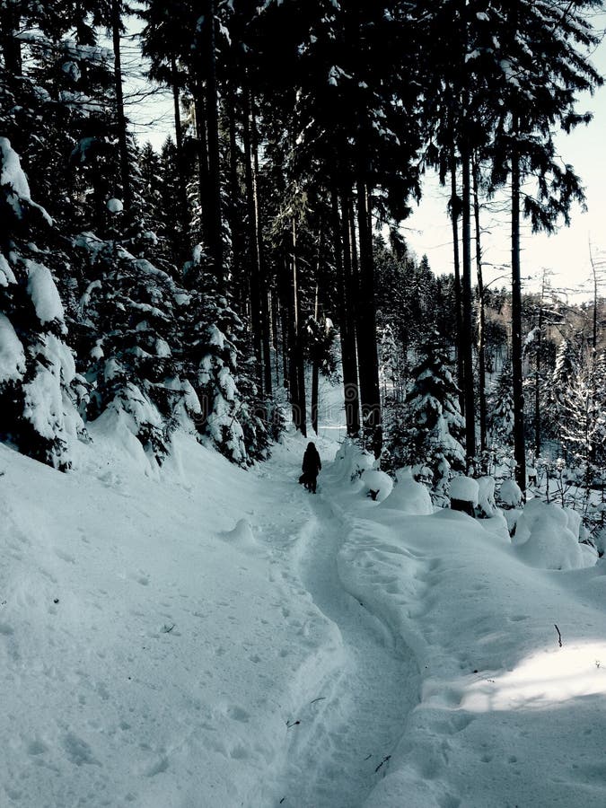 Lost Ranger stock image. Image of mountain, snow, ranger - 55464505