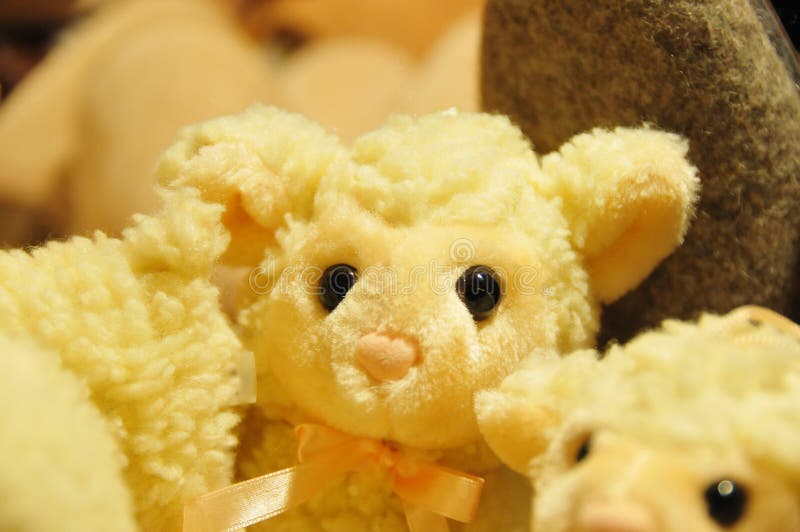 Lost sheep stock photo. Image of sheep, craft, soft, yellow - 72357782