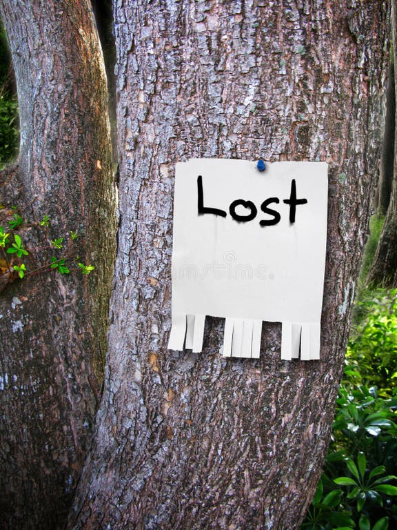 Lost sign stock photo. Image of text, copy, business, tree - 5137786