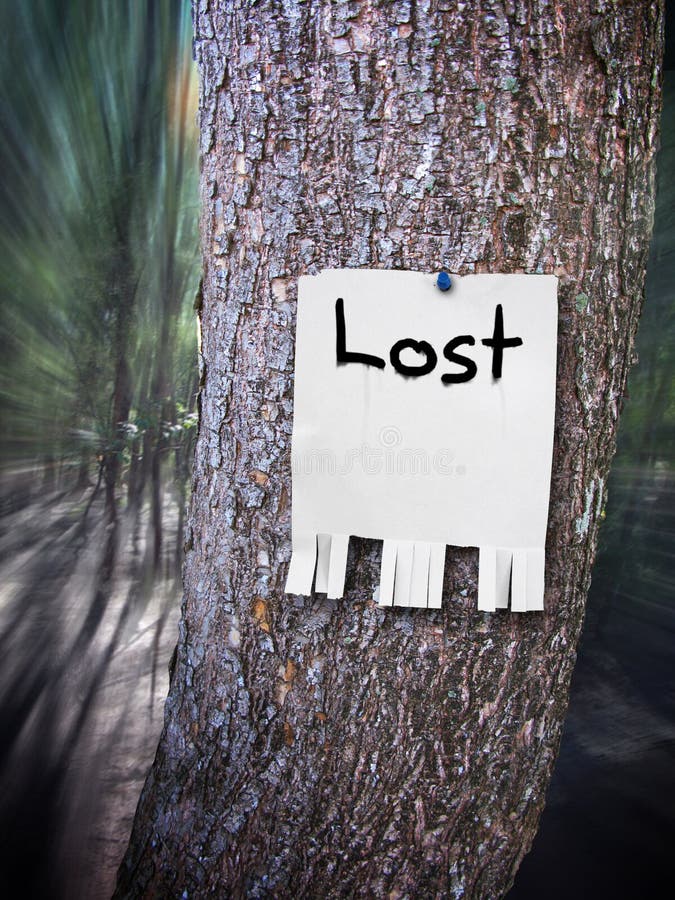 Lost sign stock photo. Image of text, copy, business, tree - 5137786