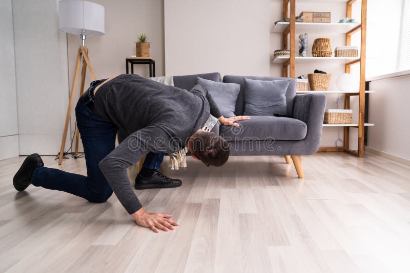 Lost Something Looking for Things Stock Photo - Image of floor, hand ...