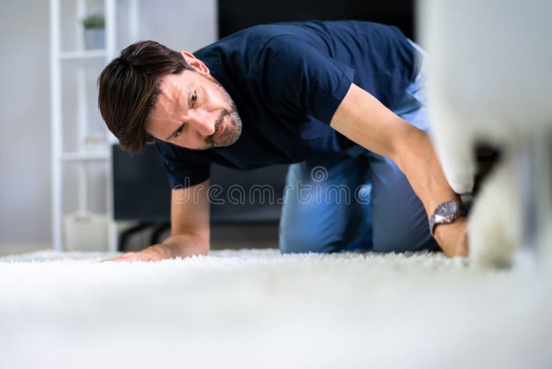 Lost Something Looking for Things Stock Photo - Image of phone, lost: 251581288