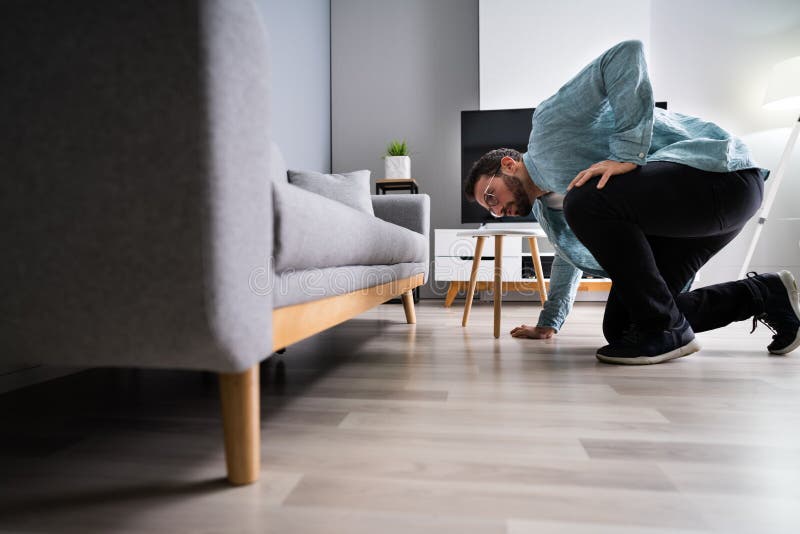 Lost Something Looking for Things Stock Photo - Image of wallet ...