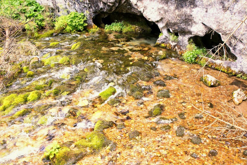 Lost stream stock image. Image of plant, flower, flow - 107752033