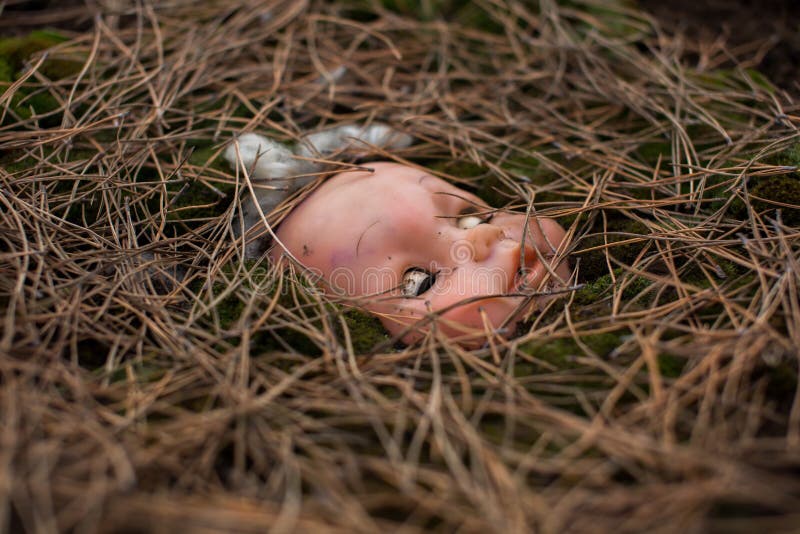 Lost toy stock photo. Image of stalker, pine, postapocalypse - 93313730