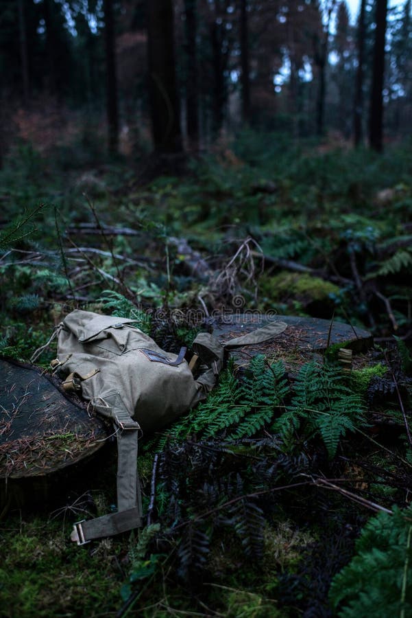 Lost Vintage Green Backpack on Tree Stump in Forest. Stock Photo ...