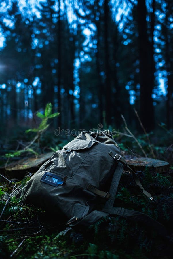 Lost Vintage Green Backpack on Tree Stump in Forest. Stock Photo ...