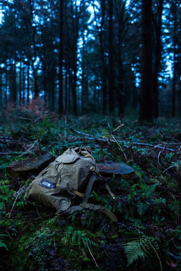 Lost Vintage Green Backpack on Tree Stump in Forest. Stock Image ...