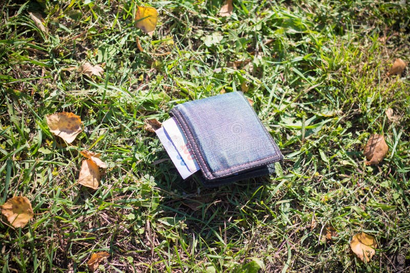 Lost Wallet on the Grass in a Park Stock Image - Image of autumn ...