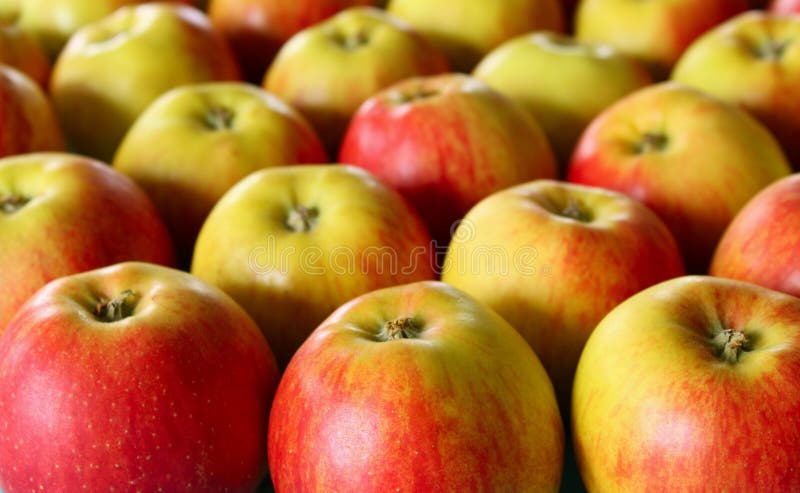 Box of apples stock image. Image of consumed, order - 103545813