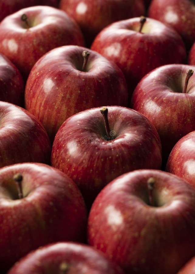 A Lot of Apples Spread All Over the Screen Stock Photo - Image of ripe ...