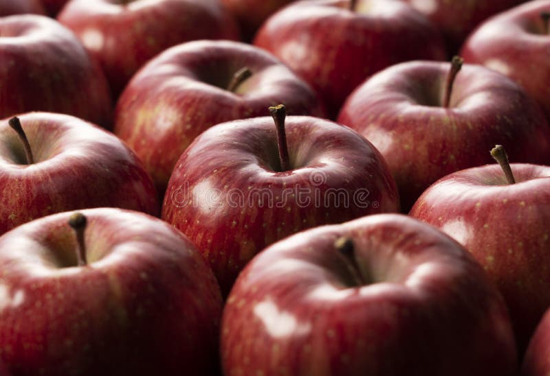 A Lot of Apples Spread All Over the Screen Stock Photo - Image of ripe ...