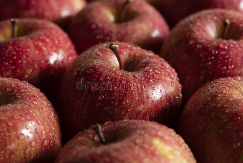 A Lot of Apples Spread All Over the Screen Stock Photo - Image of ripe ...