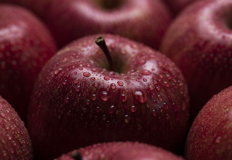 A Lot of Apples Spread All Over the Screen Stock Image - Image of ...