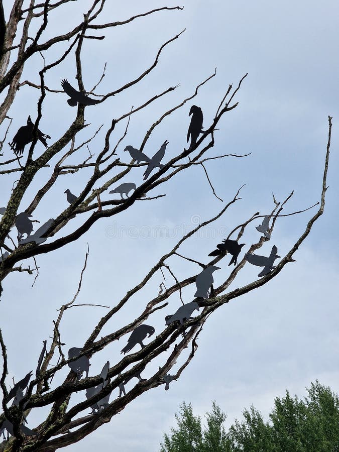 A Lot of Artificial Crows in a Dead Tree Stock Photo - Image of outdoor ...