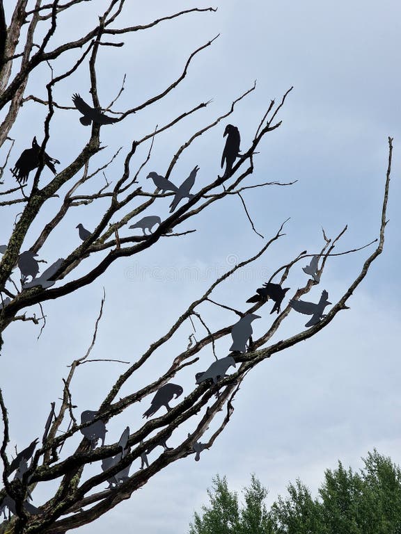 A Lot of Artificial Crows in a Dead Tree Stock Photo - Image of outdoor ...