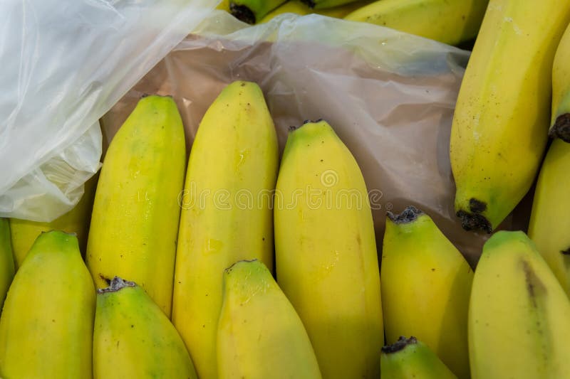A Lot of Bananas are Sold in the Supermarket Stock Photo - Image of ...