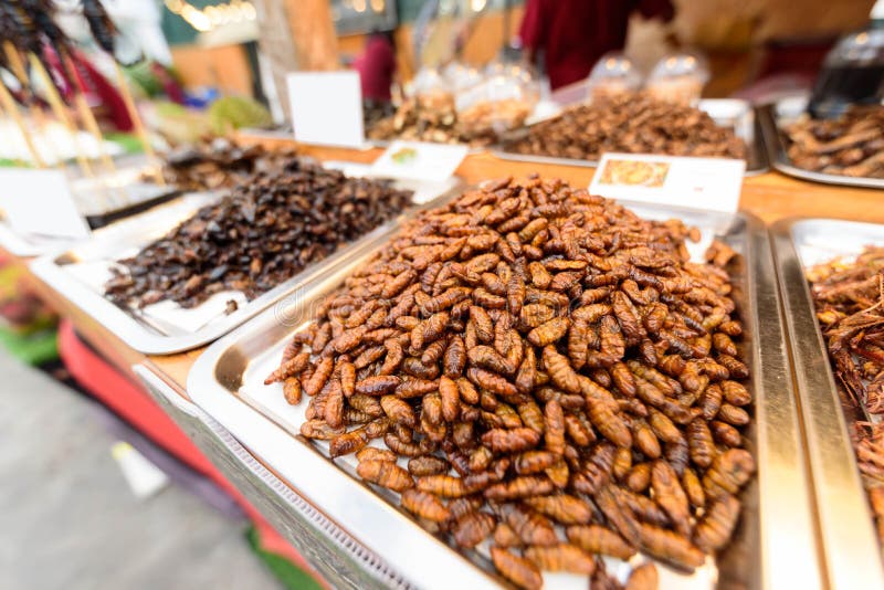 Beetle Bug Fried Asian Insect Snack Food, High Protein Food Stock Image ...