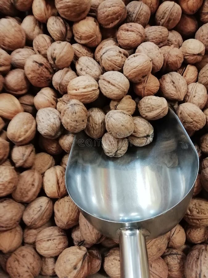 Nuts stock photo. Image of small, nuts, brown - 130277666