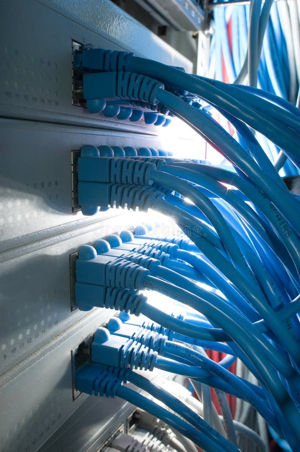 Cables Plugged into the Back Stock Image - Image of network, isolated ...